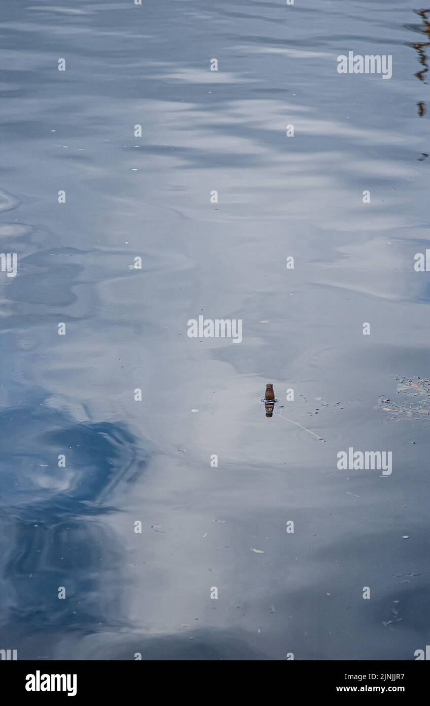 A vertical shot of blue water surface with a sinking bottle Stock Photo ... A vertical shot of blue water surface with a sinking bottle Stock Photo ...