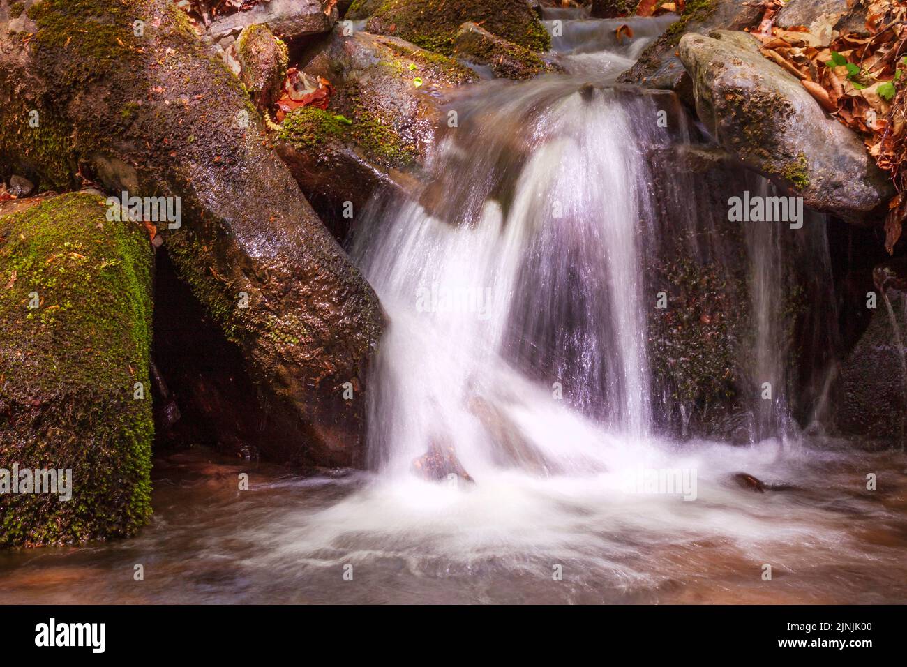 view on waterfall on a brook in Carpathian mountains Stock Photo - Alamy