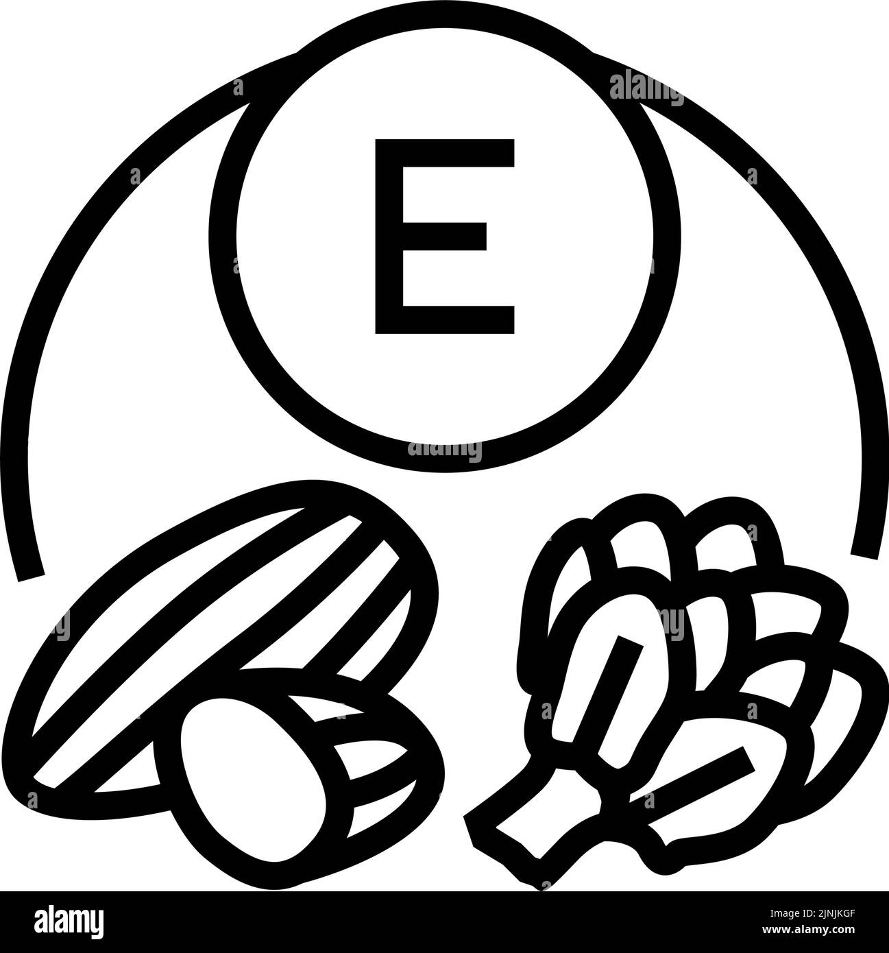 e vitamin line icon vector illustration Stock Vector Image & Art - Alamy