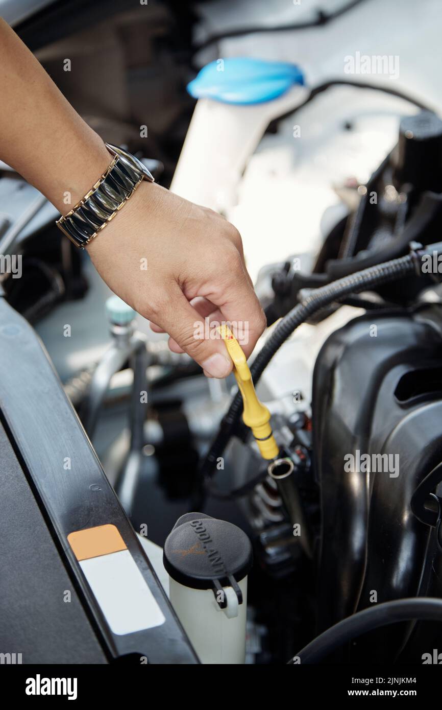 Hand of driver checking oil level in the car Stock Photo - Alamy