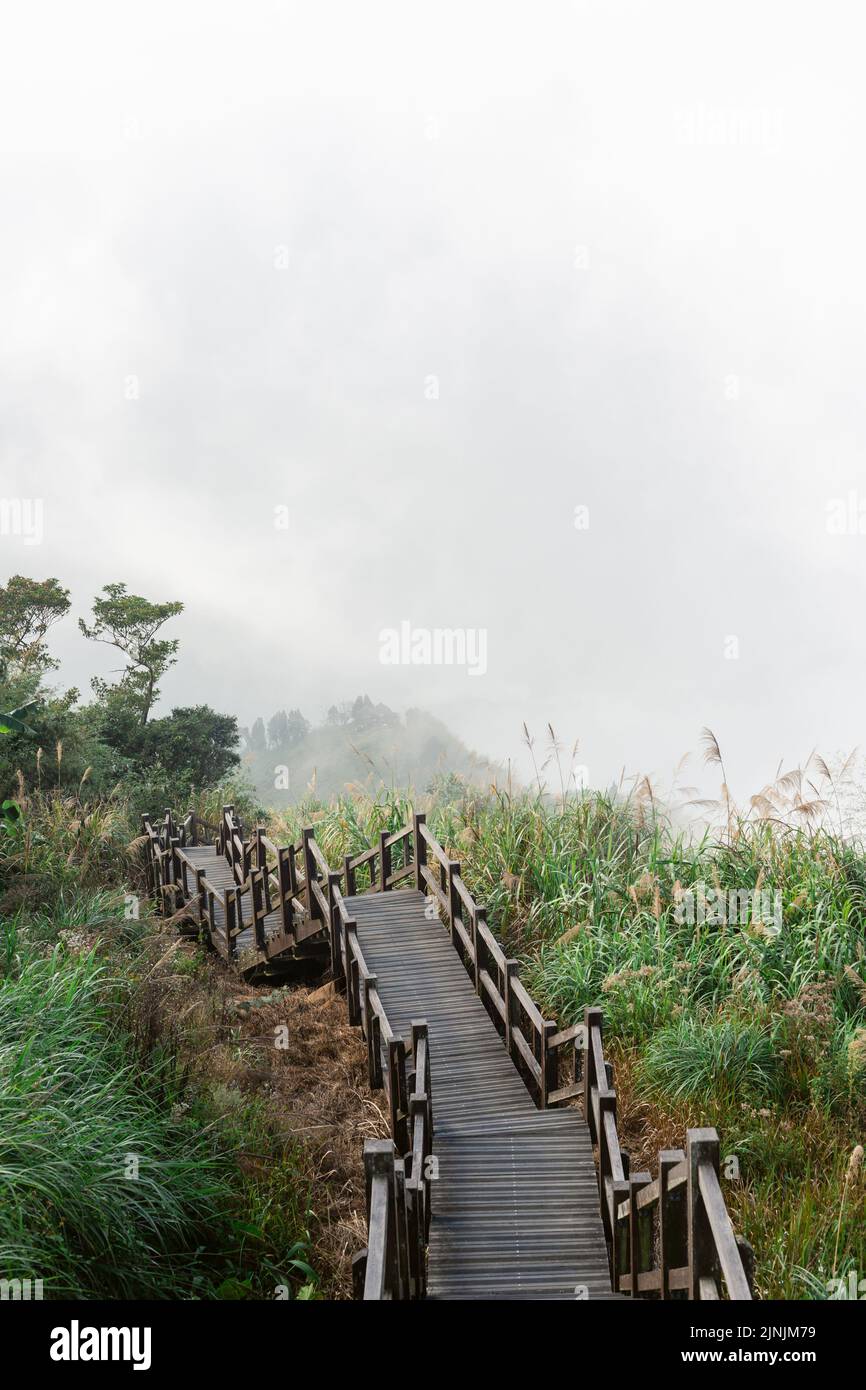 An aerial view of Alishan mountain trail in Taiwan Stock Photo - Alamy