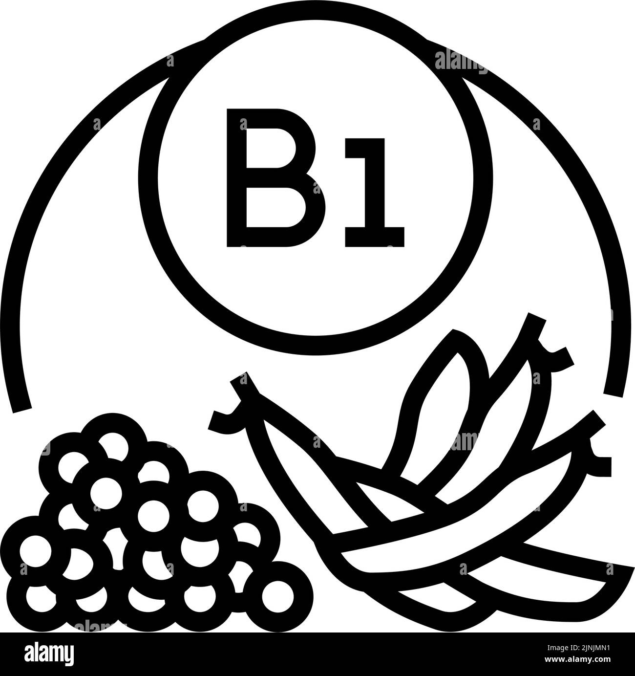 b1 vitamin line icon vector illustration Stock Vector Image & Art - Alamy