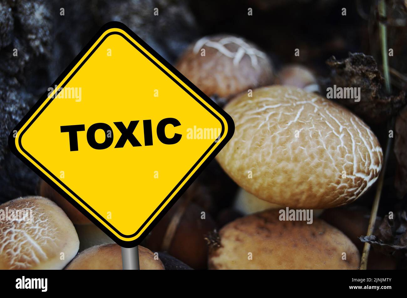 Toxic sign hi-res stock photography and images - Alamy