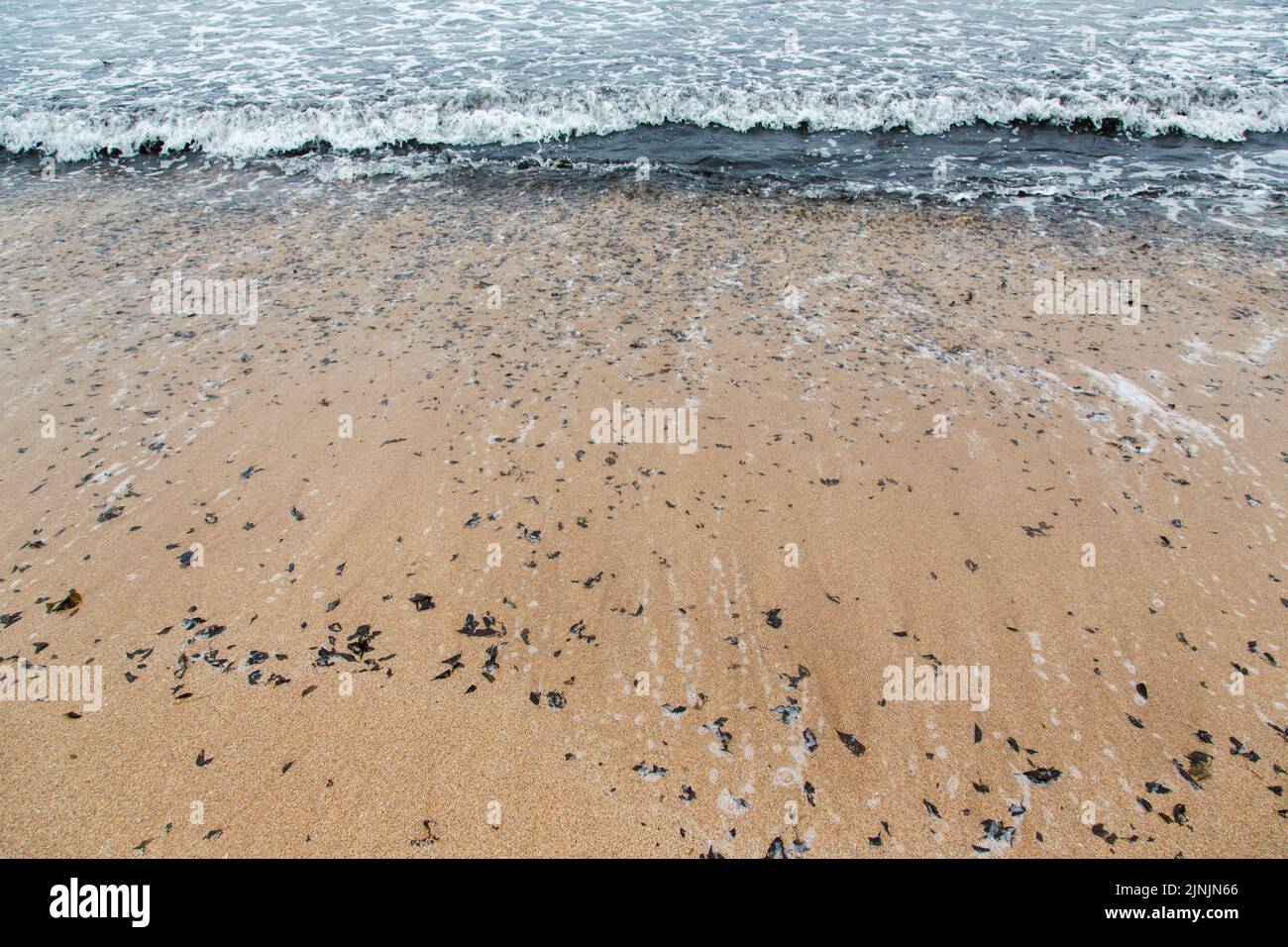 Ocean waves washing the sandy Jeju Island beach in South Korea Stock ...
