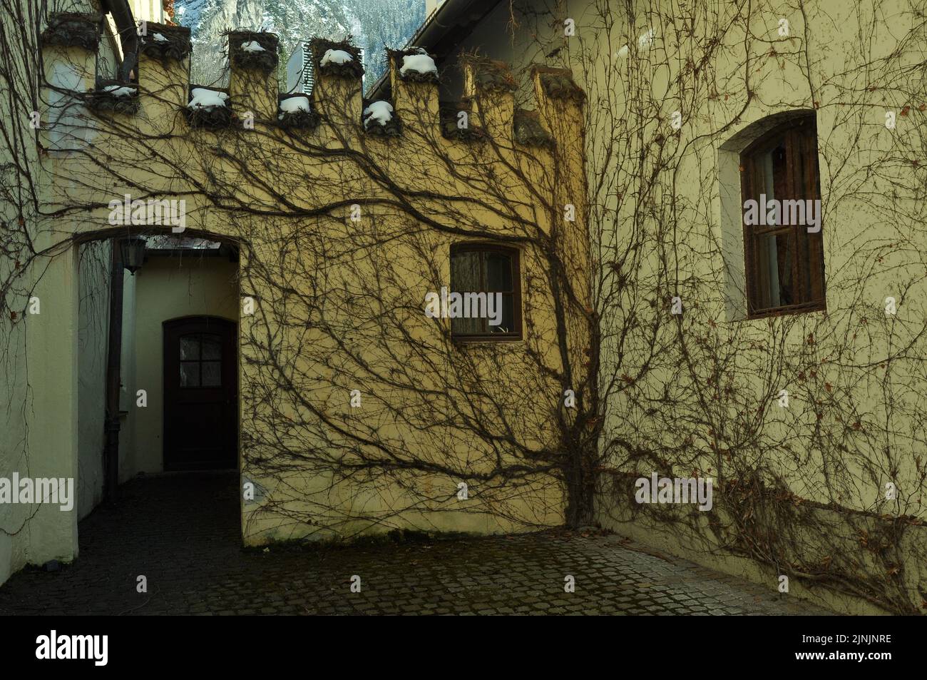 An old house covered in dry plants in Germany Stock Photo - Alamy