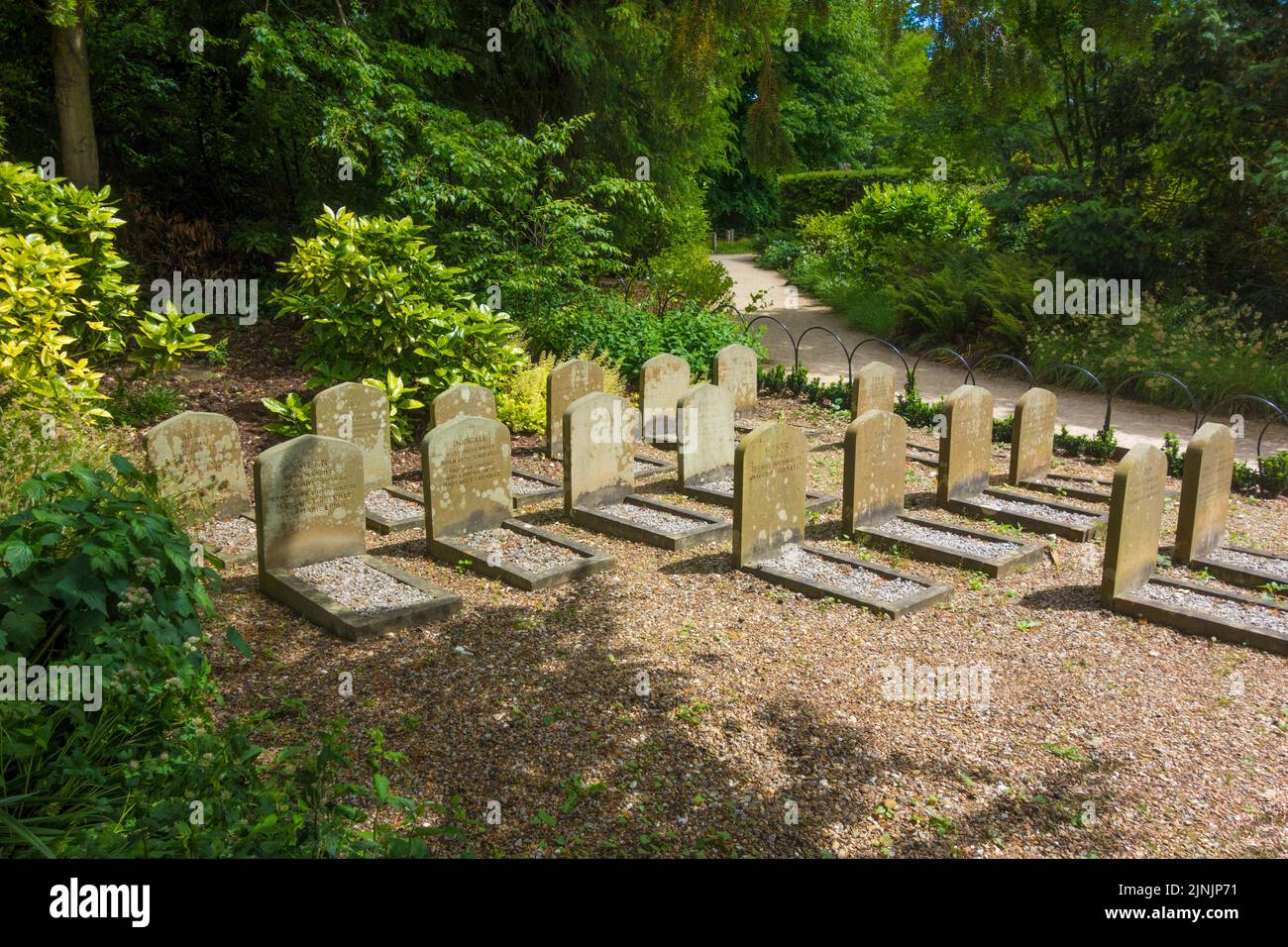 Pet dog cemetery Polesden Lacey National Trust Stock Photo - Alamy