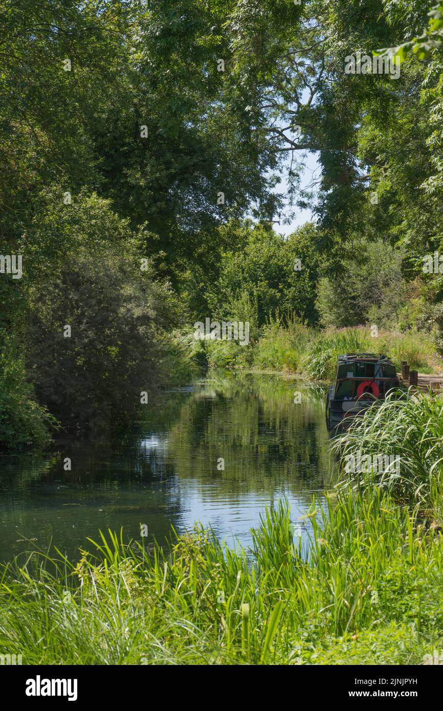 Basingstoke market hi-res stock photography and images - Alamy
