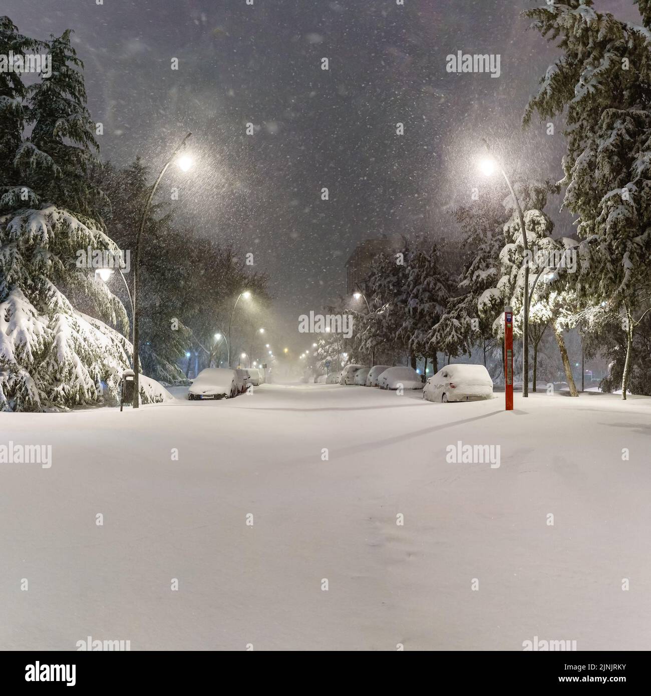 Cars and streets covered in snow in night image of Filomena storm fall ...