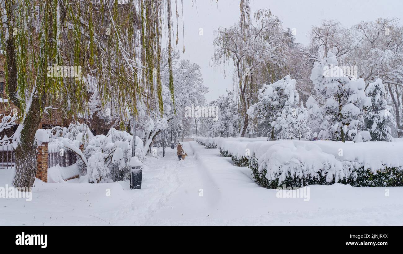 Streets and buildings covered in snow by day due to snowstorm Filomena ...