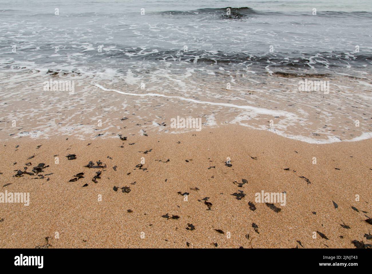 The ocean waves washing the Jeju island beach in South Korea Stock ...