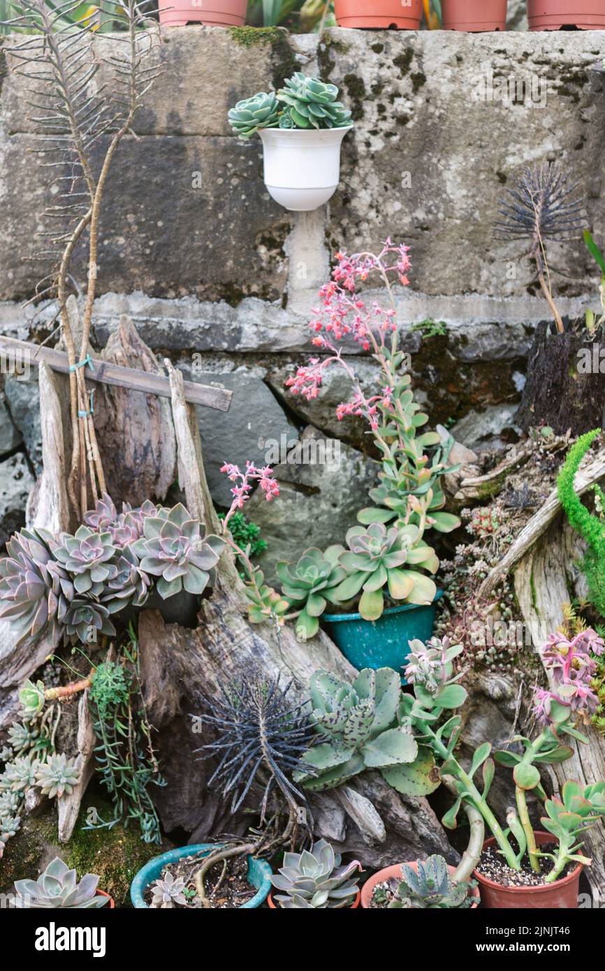 Fenqihu old street hi-res stock photography and images - Alamy