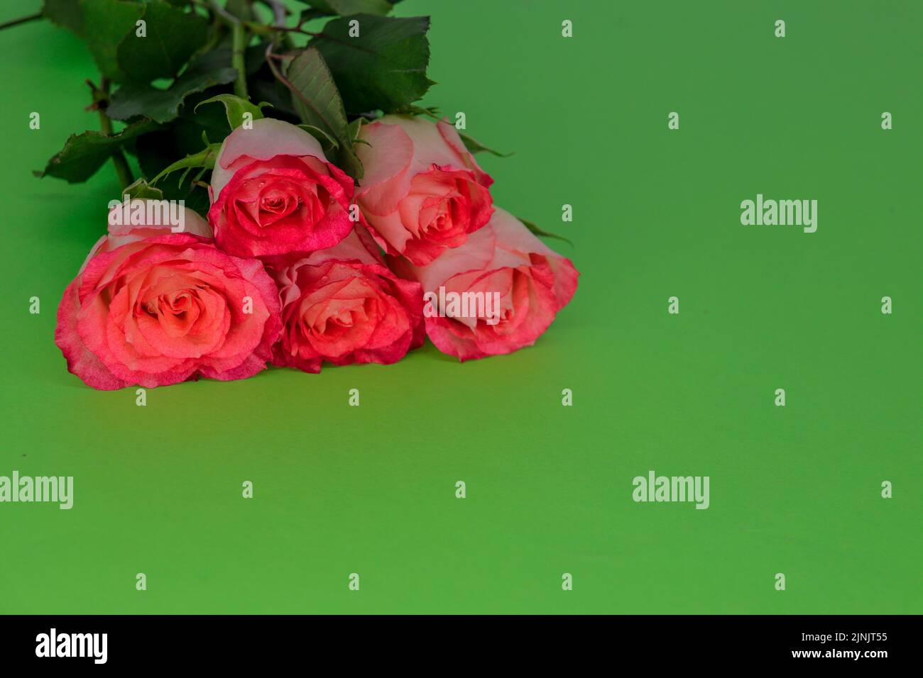 Roses have thorns hi-res stock photography and images - Alamy