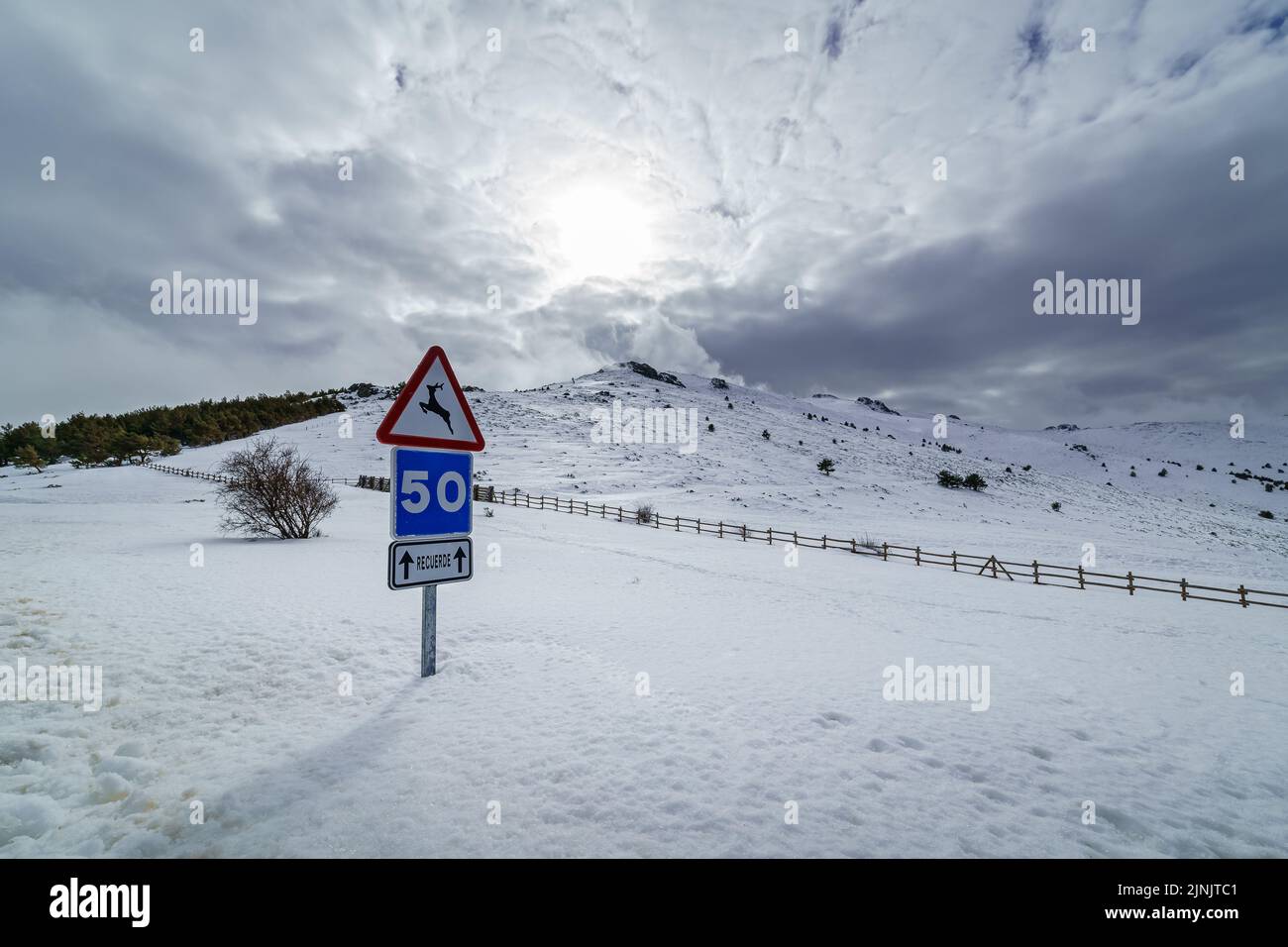 Snowy winter landscape with road sign covered by snow and sun in the ...