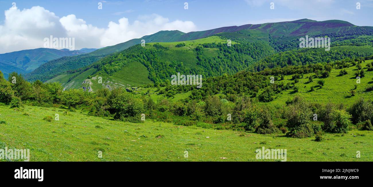 Panoramic green landscape in the valley with mountains and lush ...