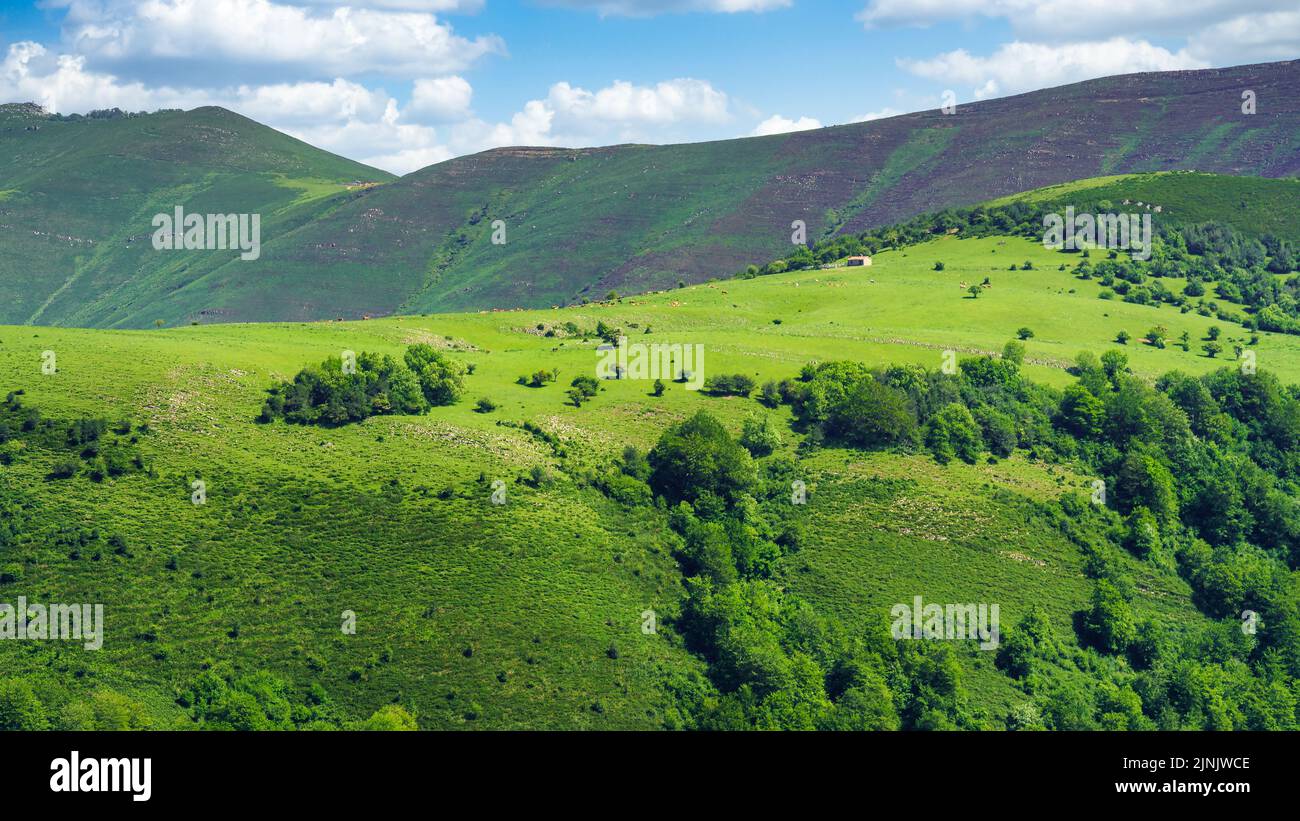 Panoramic green landscape of high mountains with small house on top of ...