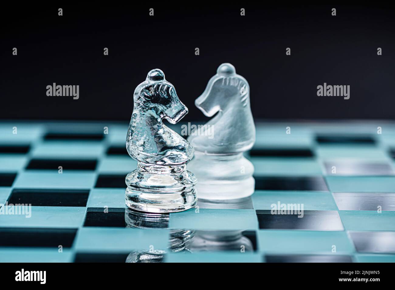 two opponent glass chess knights on a glass chess board, black ...