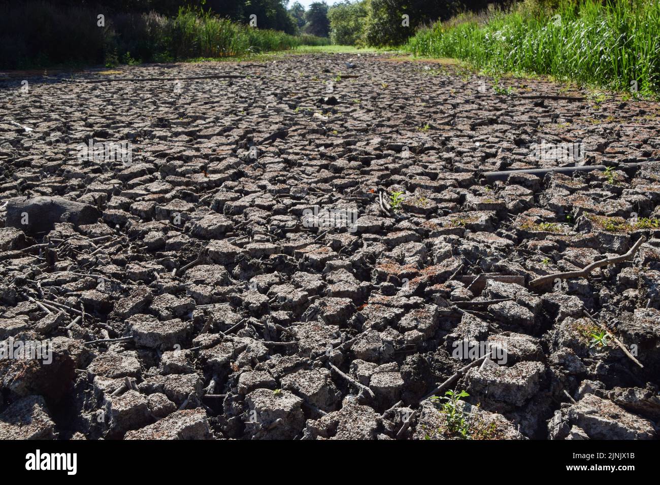 Weather damage london park hi-res stock photography and images - Alamy