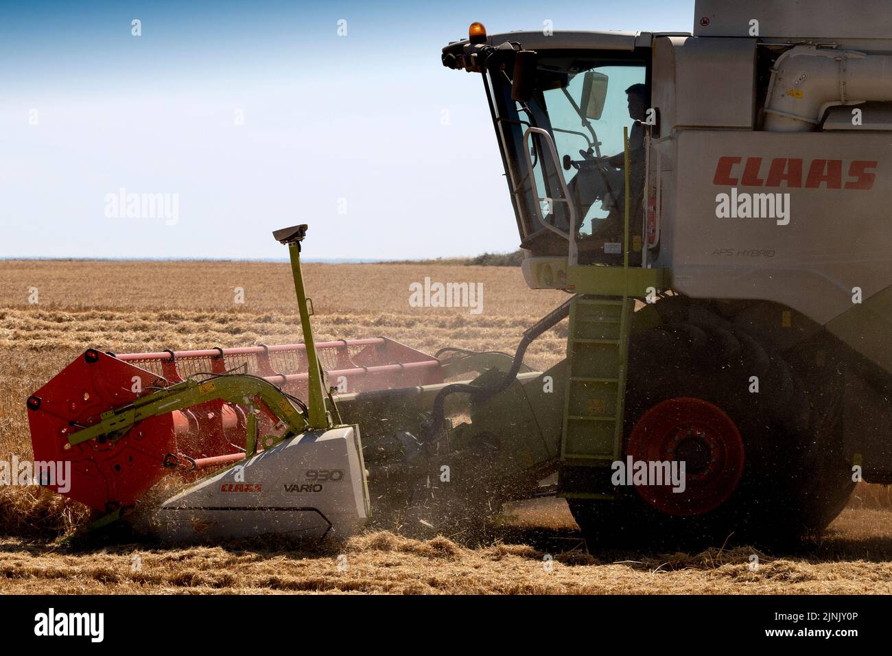 Stunyed hi-res stock photography and images - Alamy