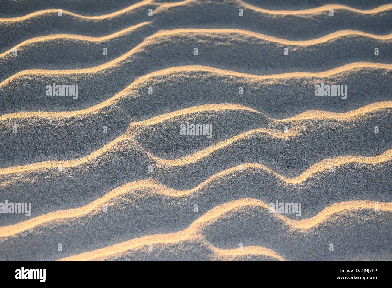 Wind pattern in sand dunes on Arrakis at sunset Stock Photo - Alamy
