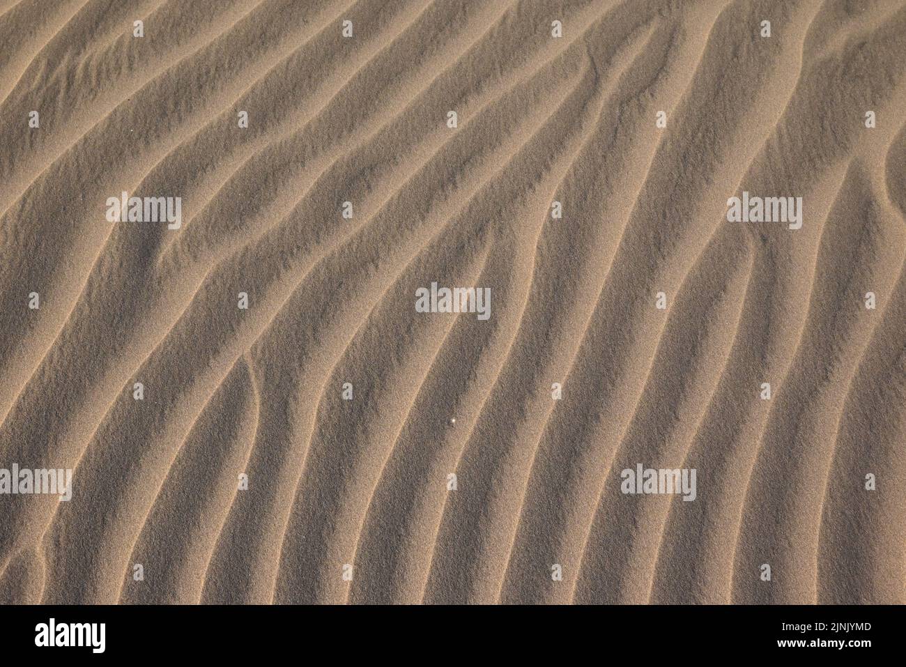 Wind pattern in sand dunes on Arrakis at sunset Stock Photo - Alamy