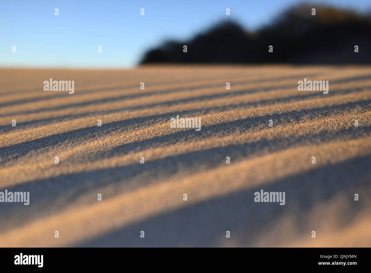 Wind pattern in sand dunes on Arrakis at sunset Stock Photo - Alamy