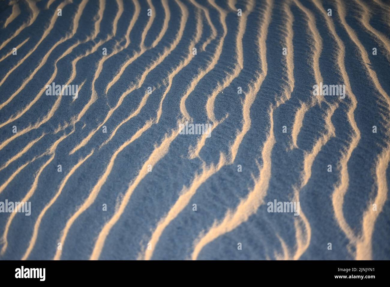 Wind pattern in sand dunes on Arrakis at sunset Stock Photo - Alamy