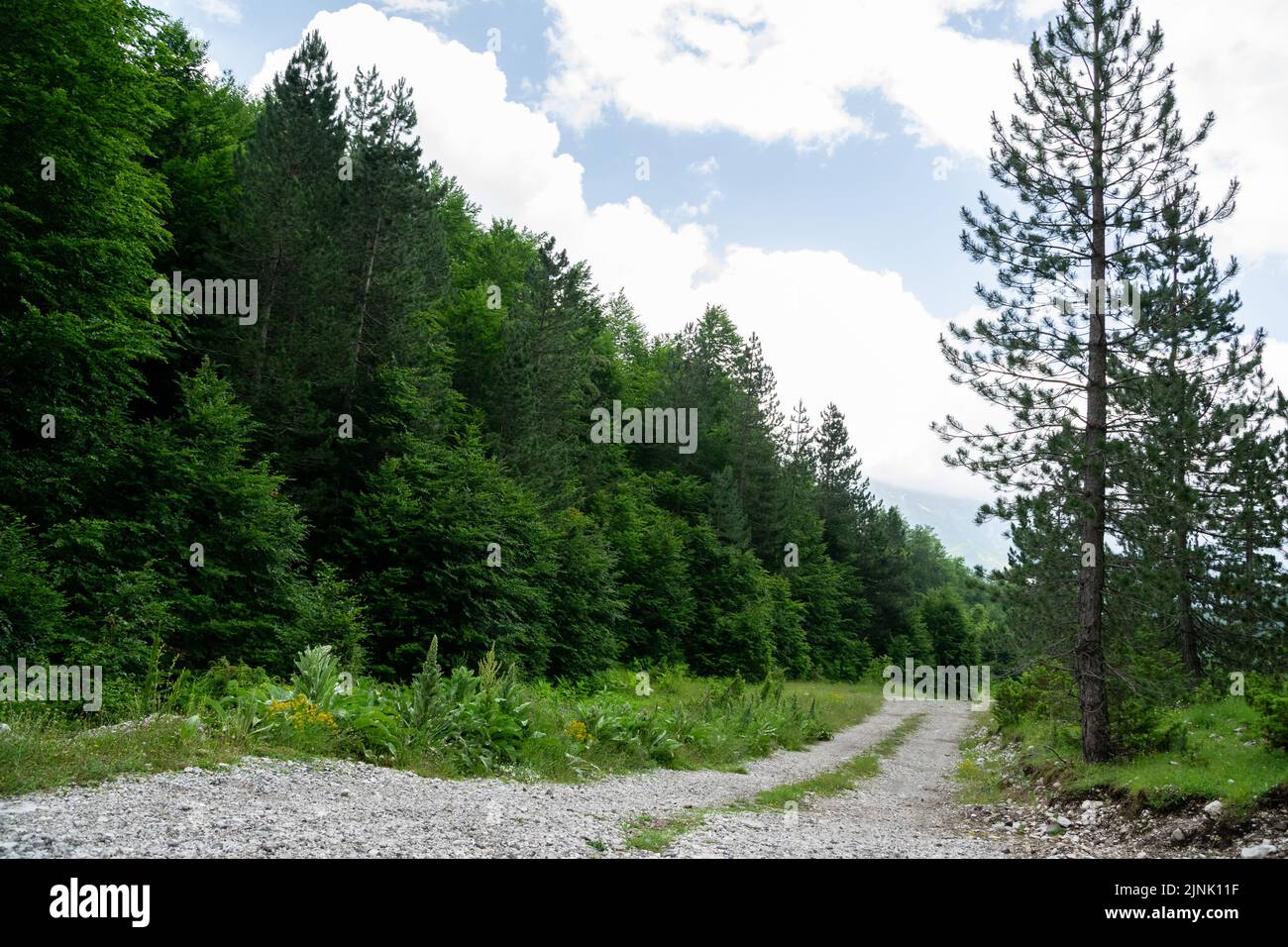 Scenic nature view of Albanian nature. Alpin environment background ...