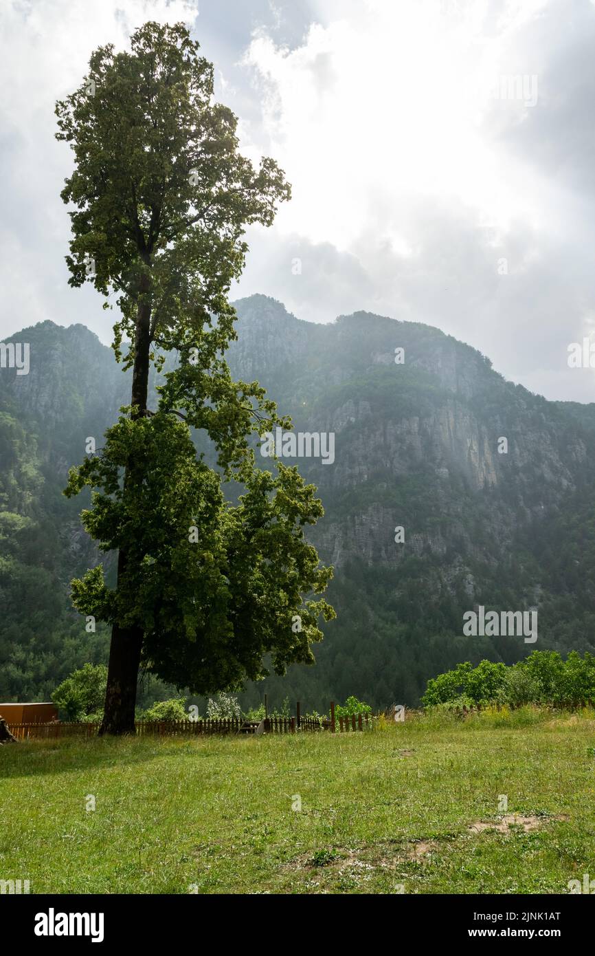 Scenic nature view of Albanian nature. Alpin environment background ...