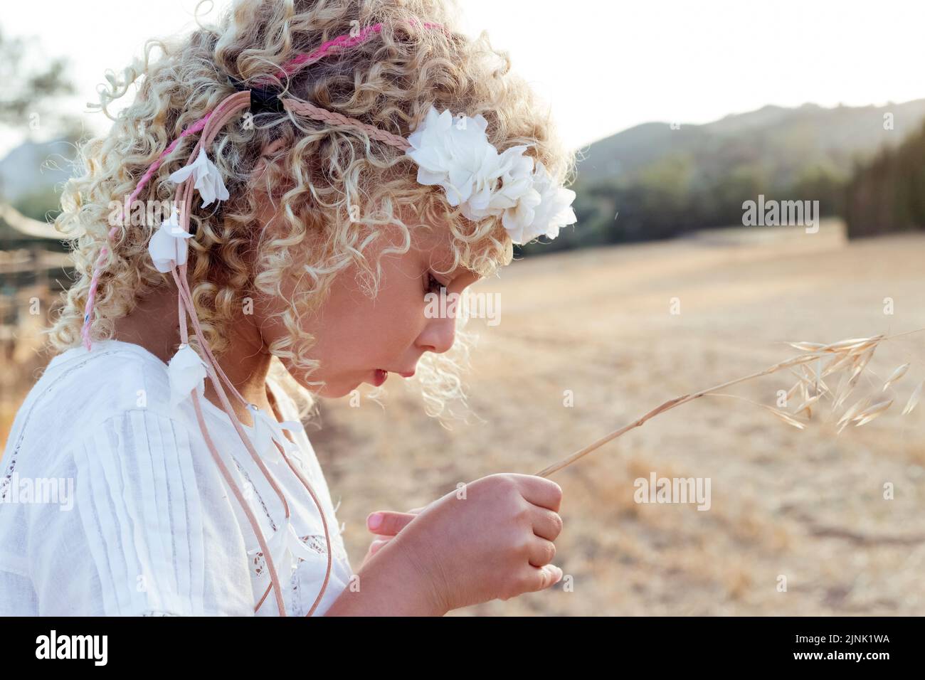 girl, rural scene, summer, cornstalk, girls, country, country life ...
