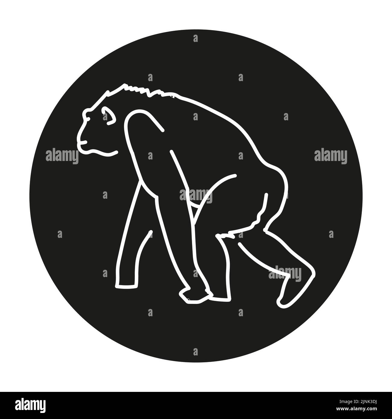 Chimpanzee color line illustration. Animals of Africa Stock Vector ...