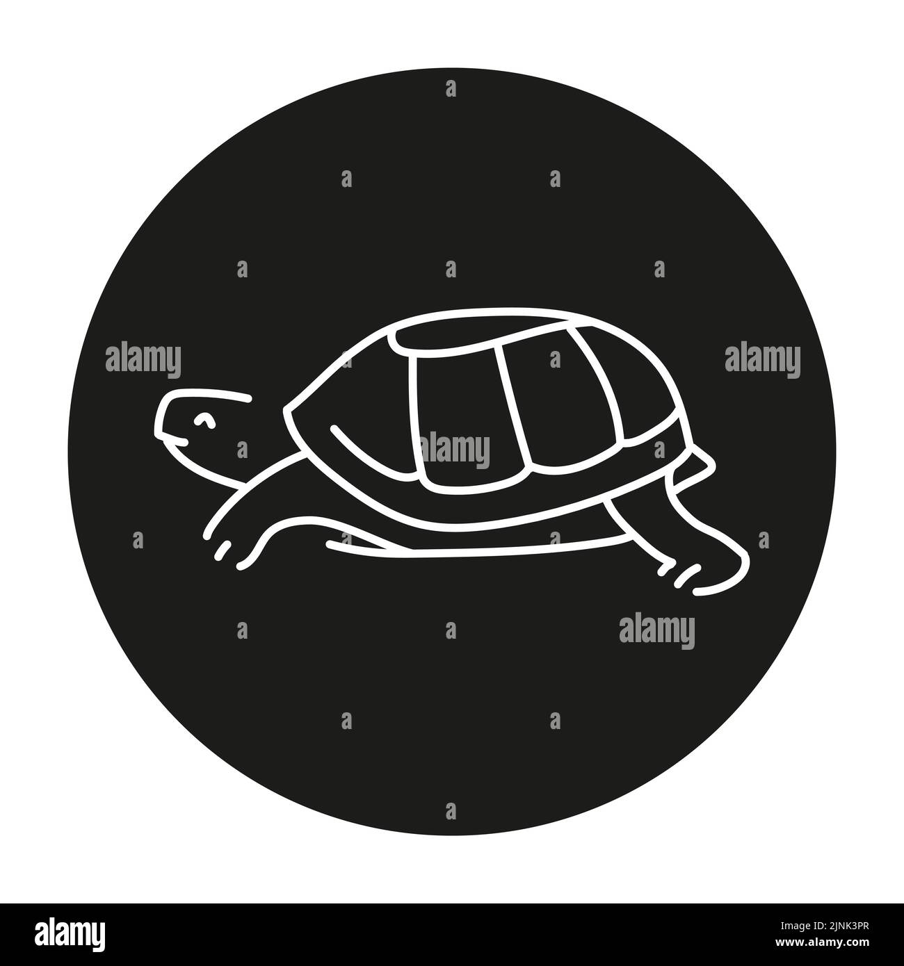 Turtle color line illustration. Animals of Africa Stock Vector Image ...