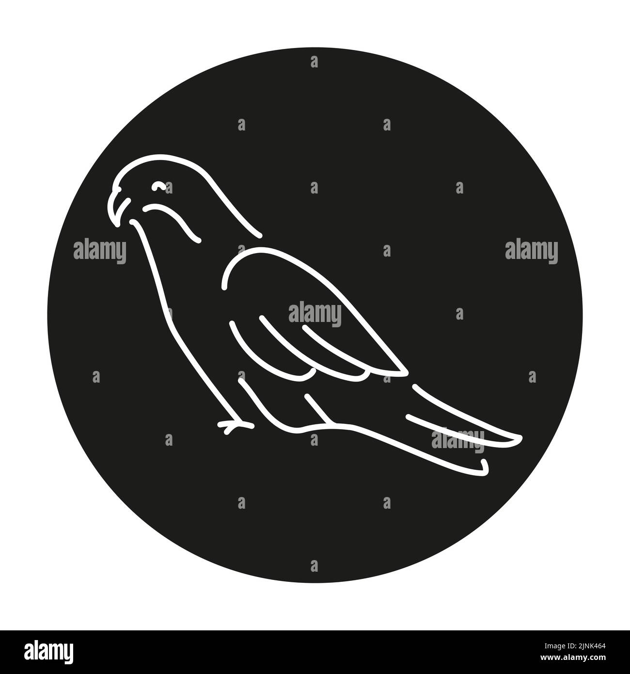 Australian parrot color line illustration. Animals of Australia Stock ...