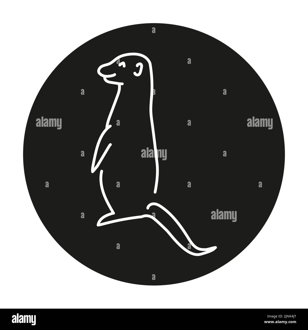 Meerkat color line illustration. Animals of Africa Stock Vector Image ...