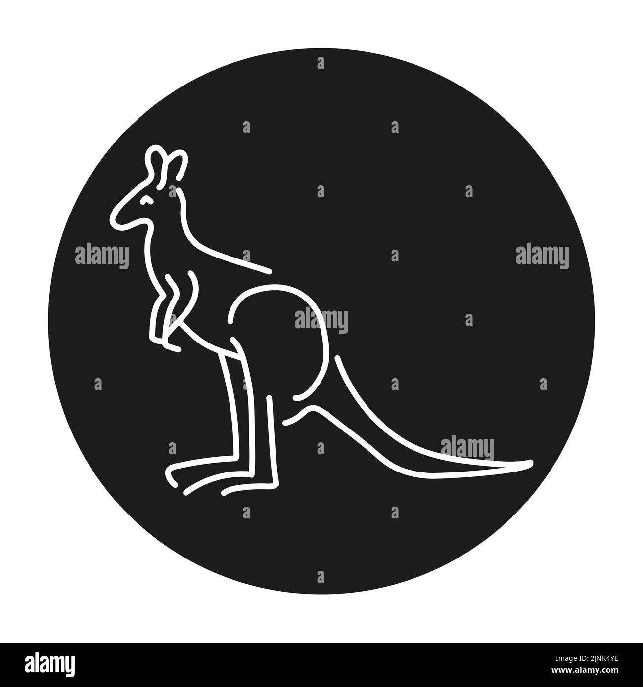 Kangaroos color line illustration. Animals of Australia Stock Vector ...