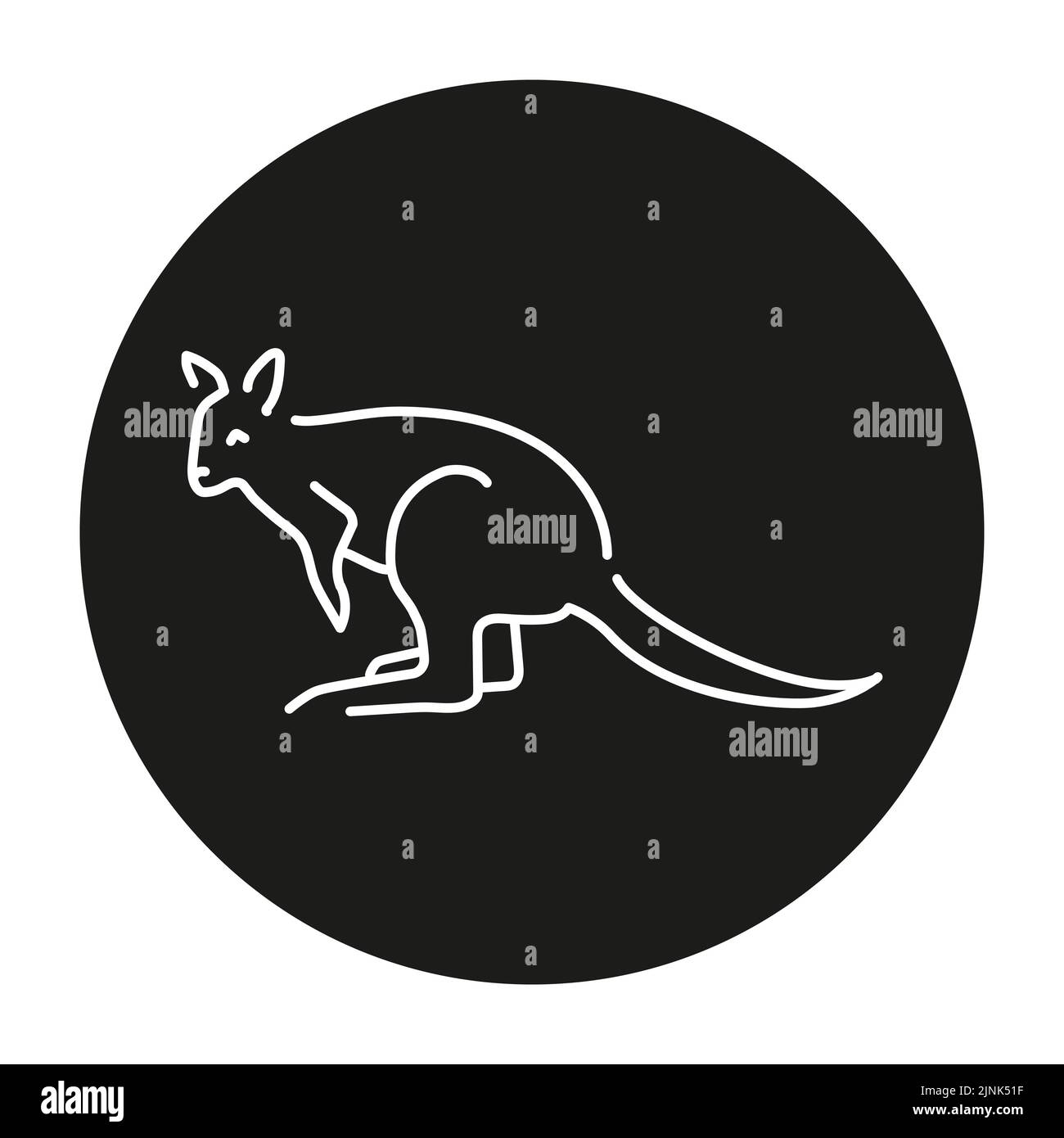 Wallabies color line illustration. Animals of Australia Stock Vector ...