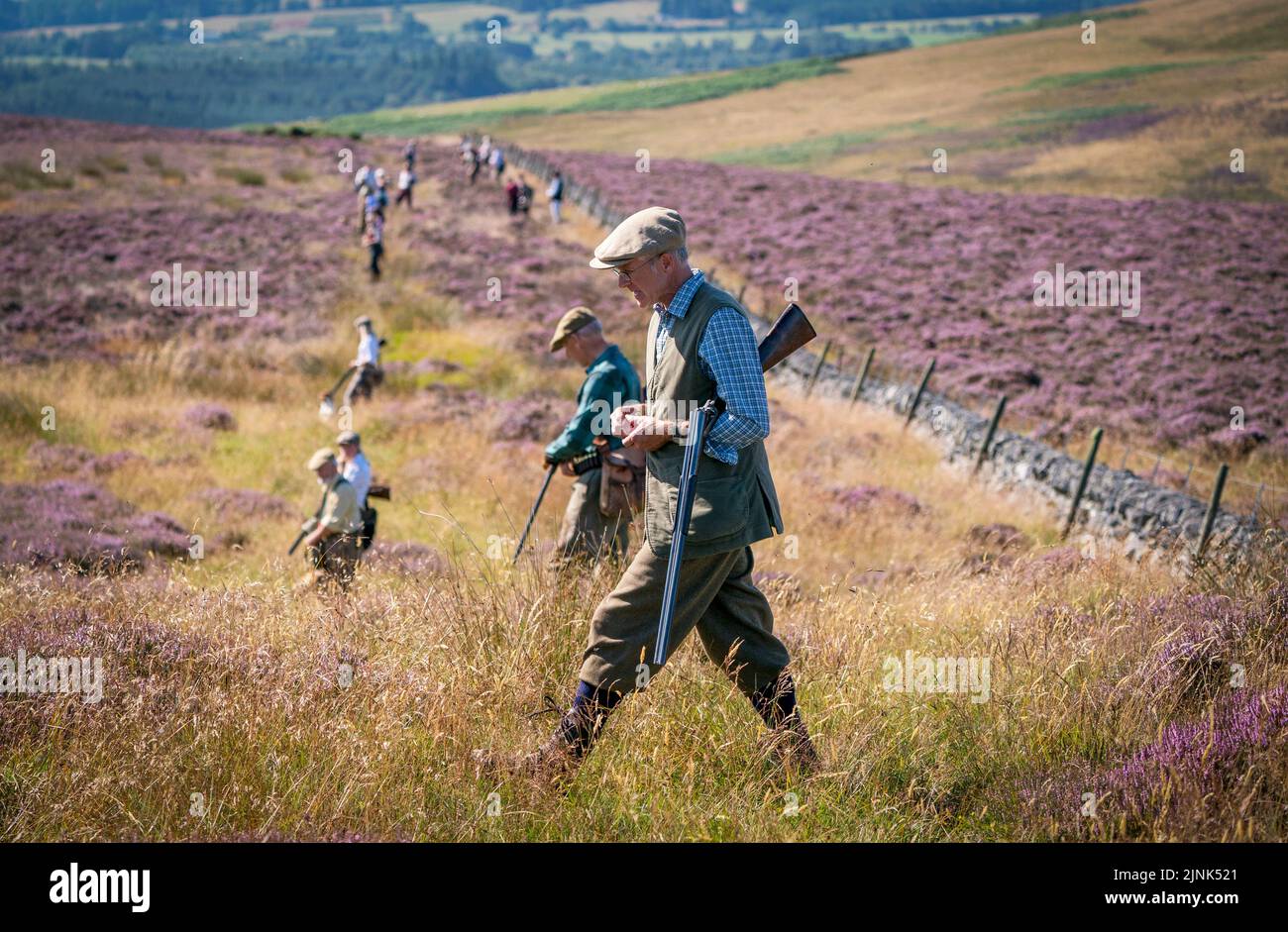 Grouse lphli hi-res stock photography and images - Alamy
