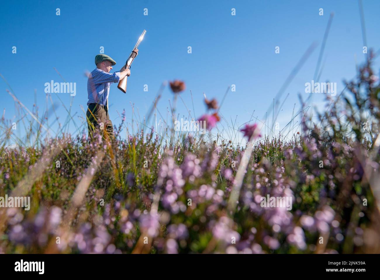 Archie Skinner, member of a shooting party on the moors in Dunkeld ...