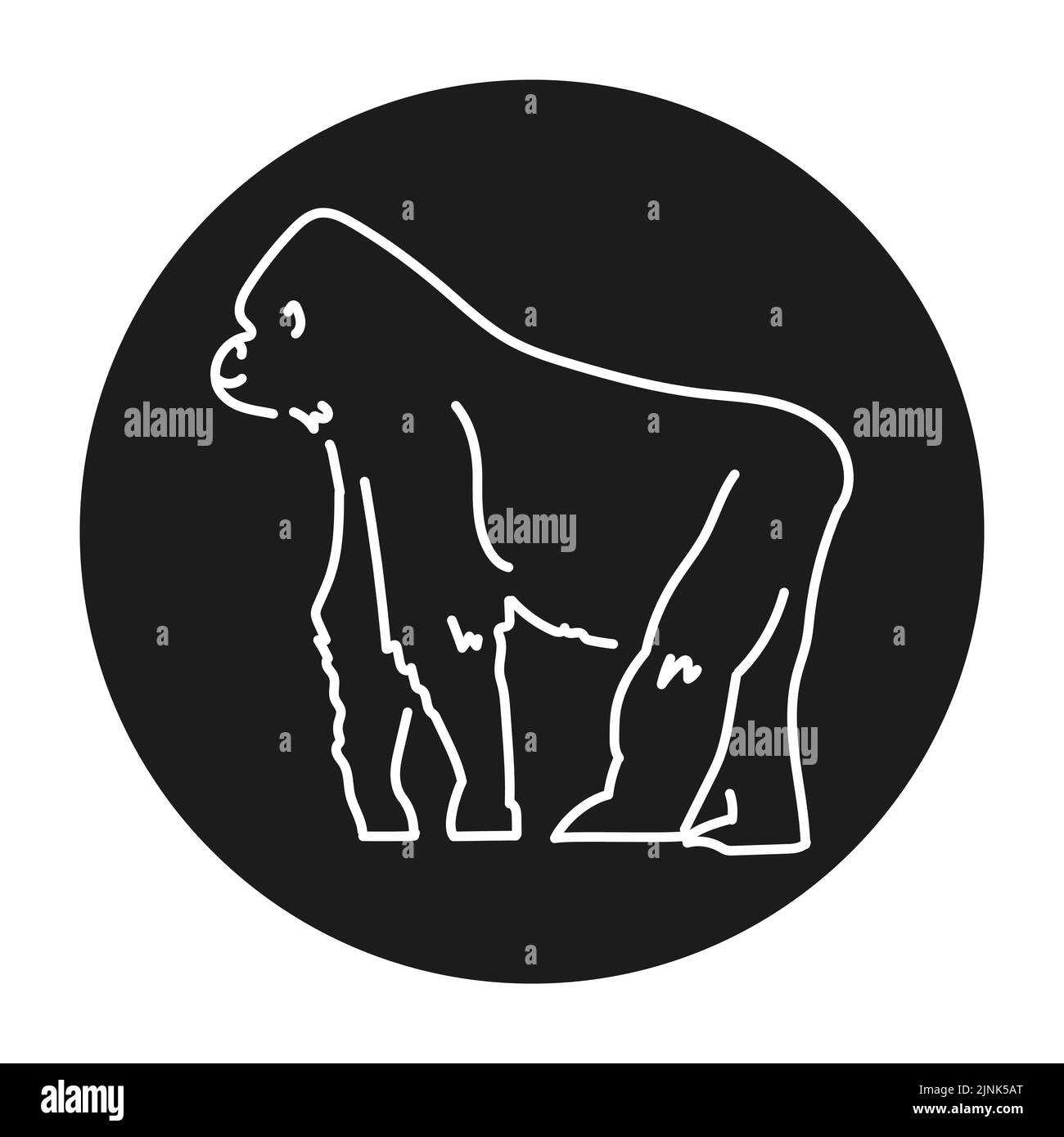 Gorilla color line illustration. Animals of Africa Stock Vector Image ...
