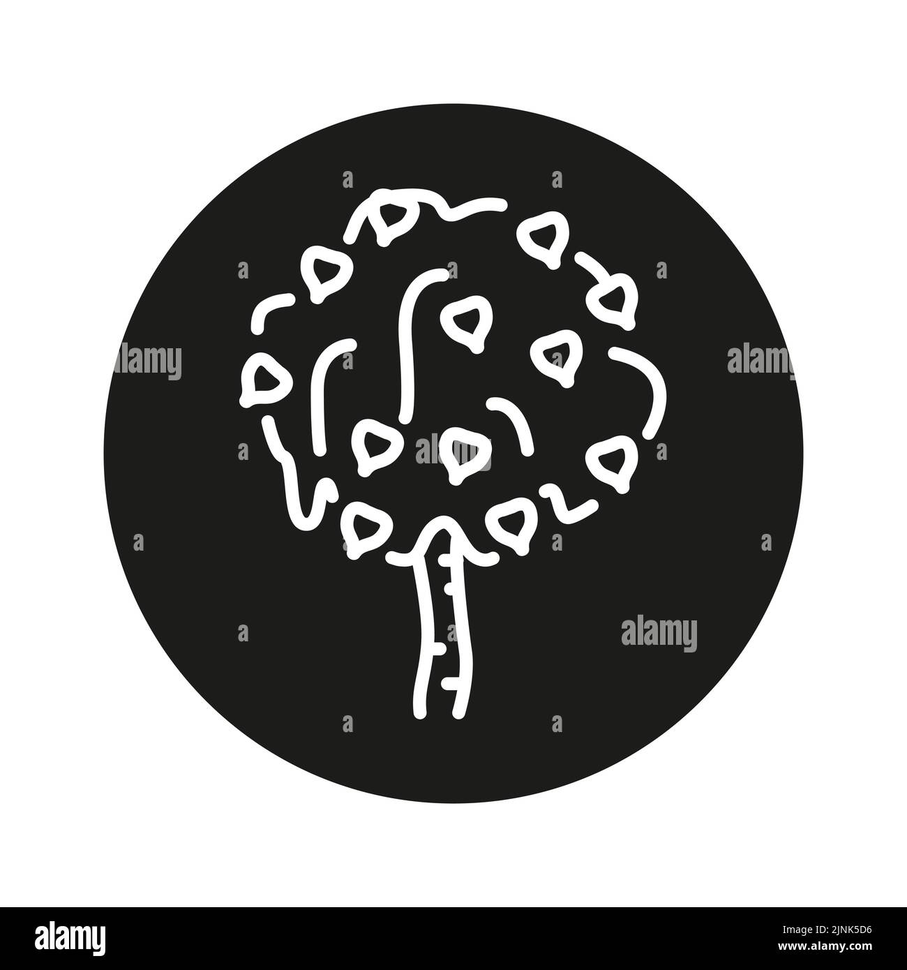 Birch tree color line icon. Pictogram for web page, mobile app, promo ...
