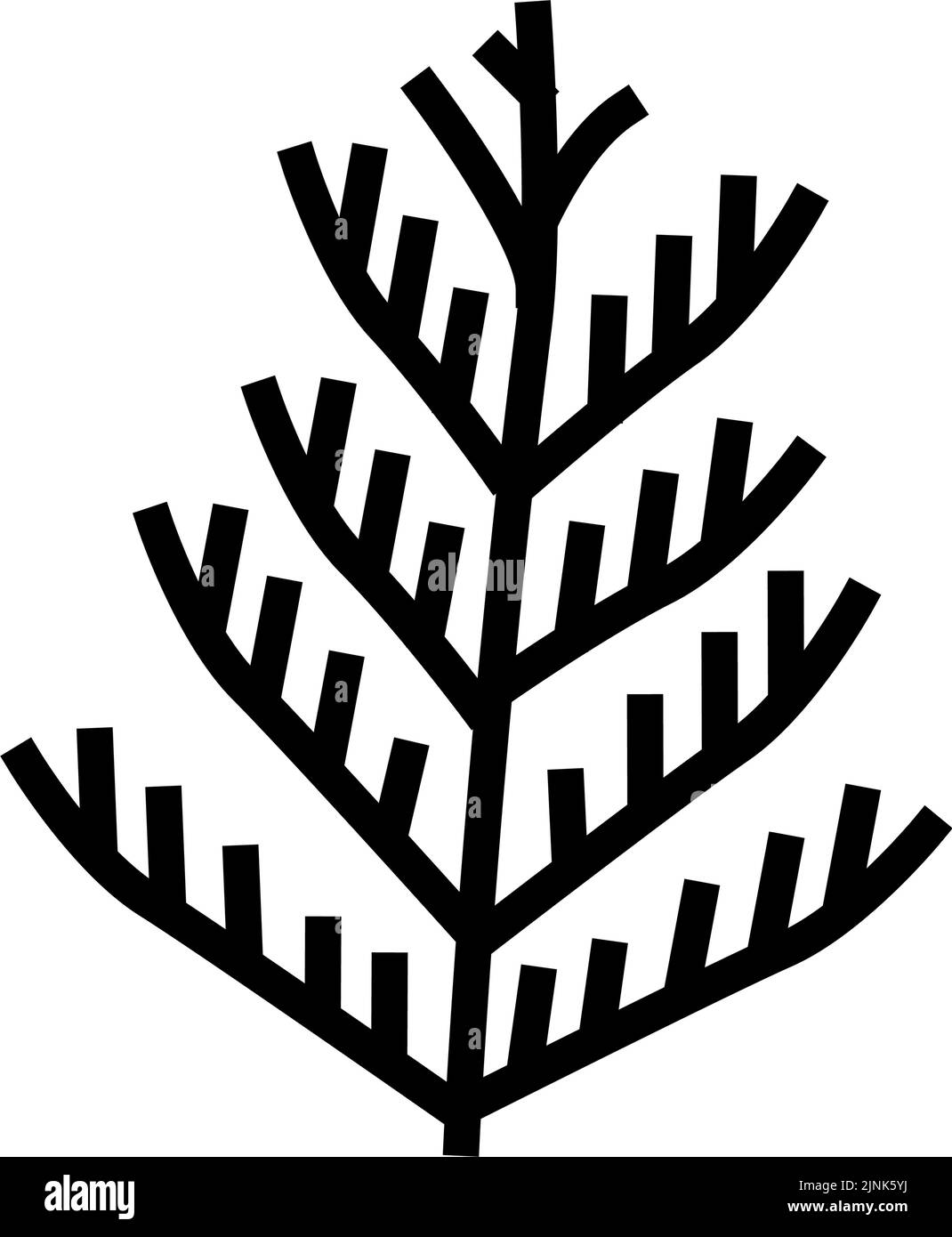 cedar plant leaf glyph icon vector illustration Stock Vector Image ...