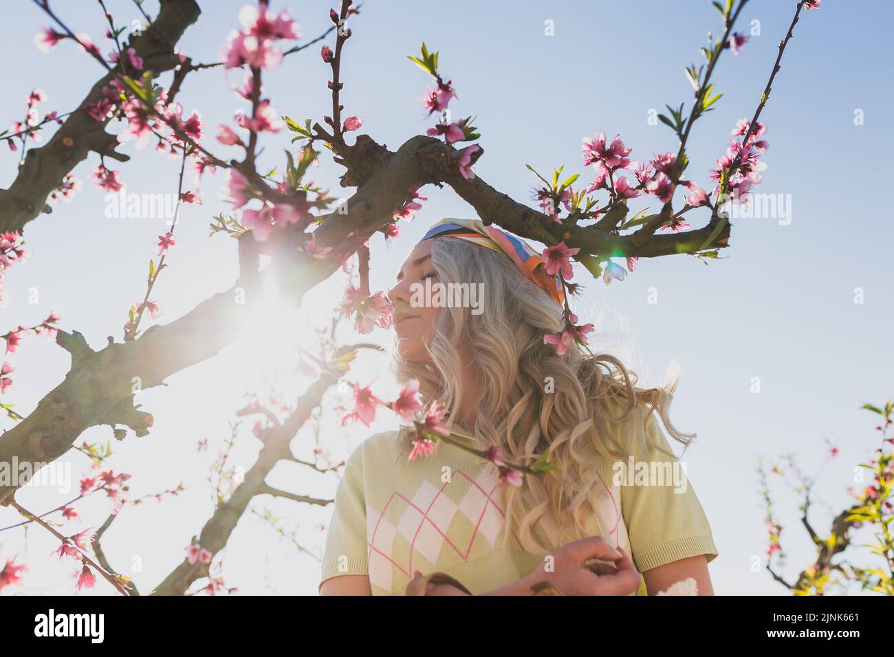 young woman, sunlight, summer, enjoy, nature relation, girl, girls ...