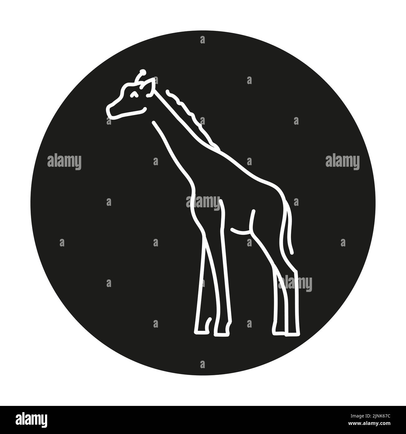 Giraffe color line illustration. Animals of Africa Stock Vector Image ...