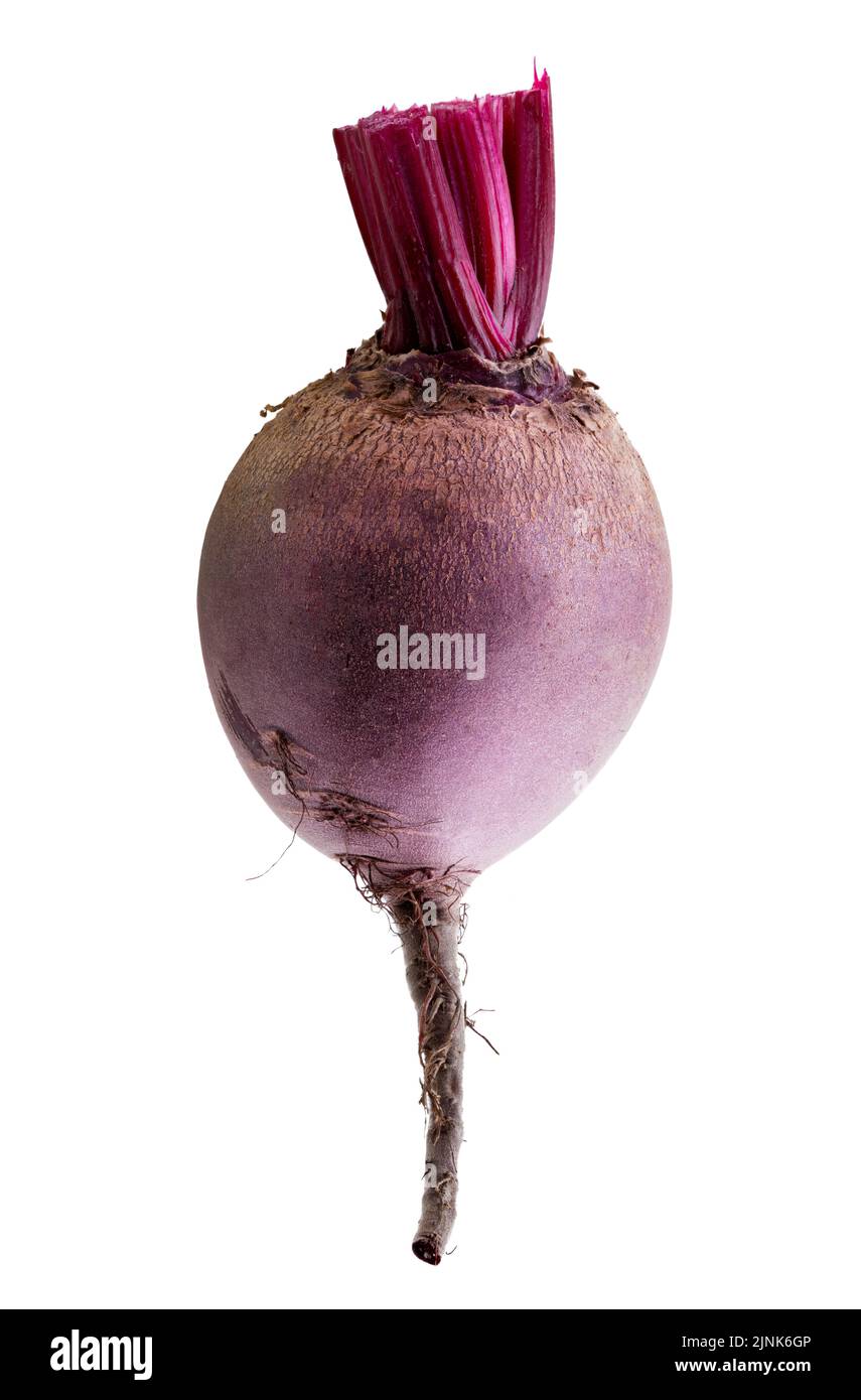Fresh beetroot isolated on white background. Clipping path Stock Photo ...