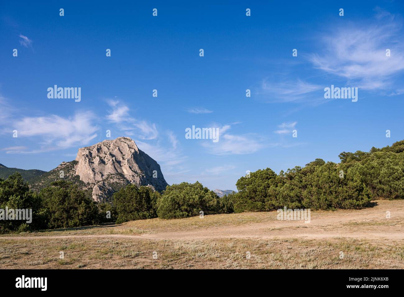 Juniper grove hi-res stock photography and images - Alamy