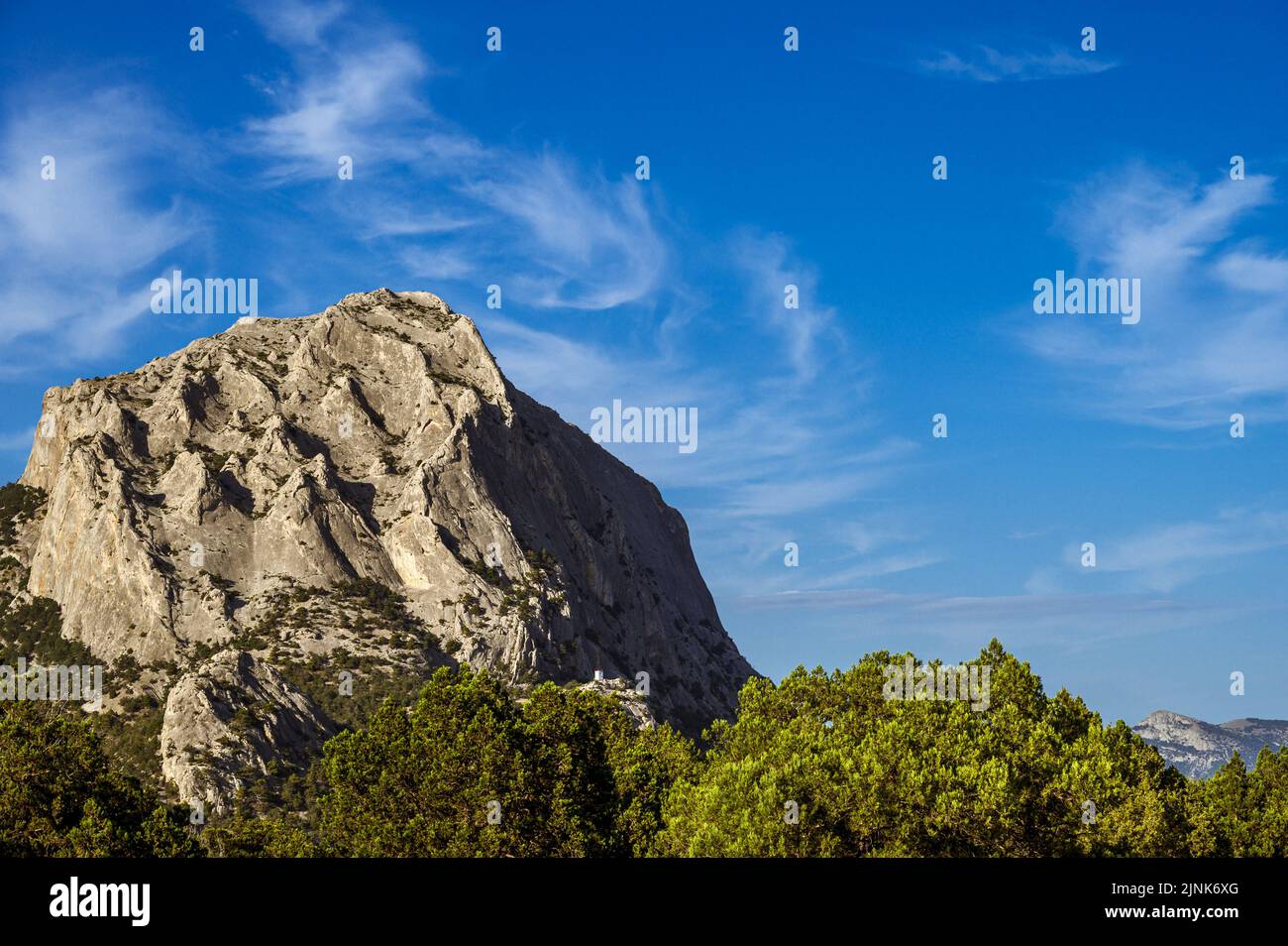 Juniper grove hi-res stock photography and images - Alamy