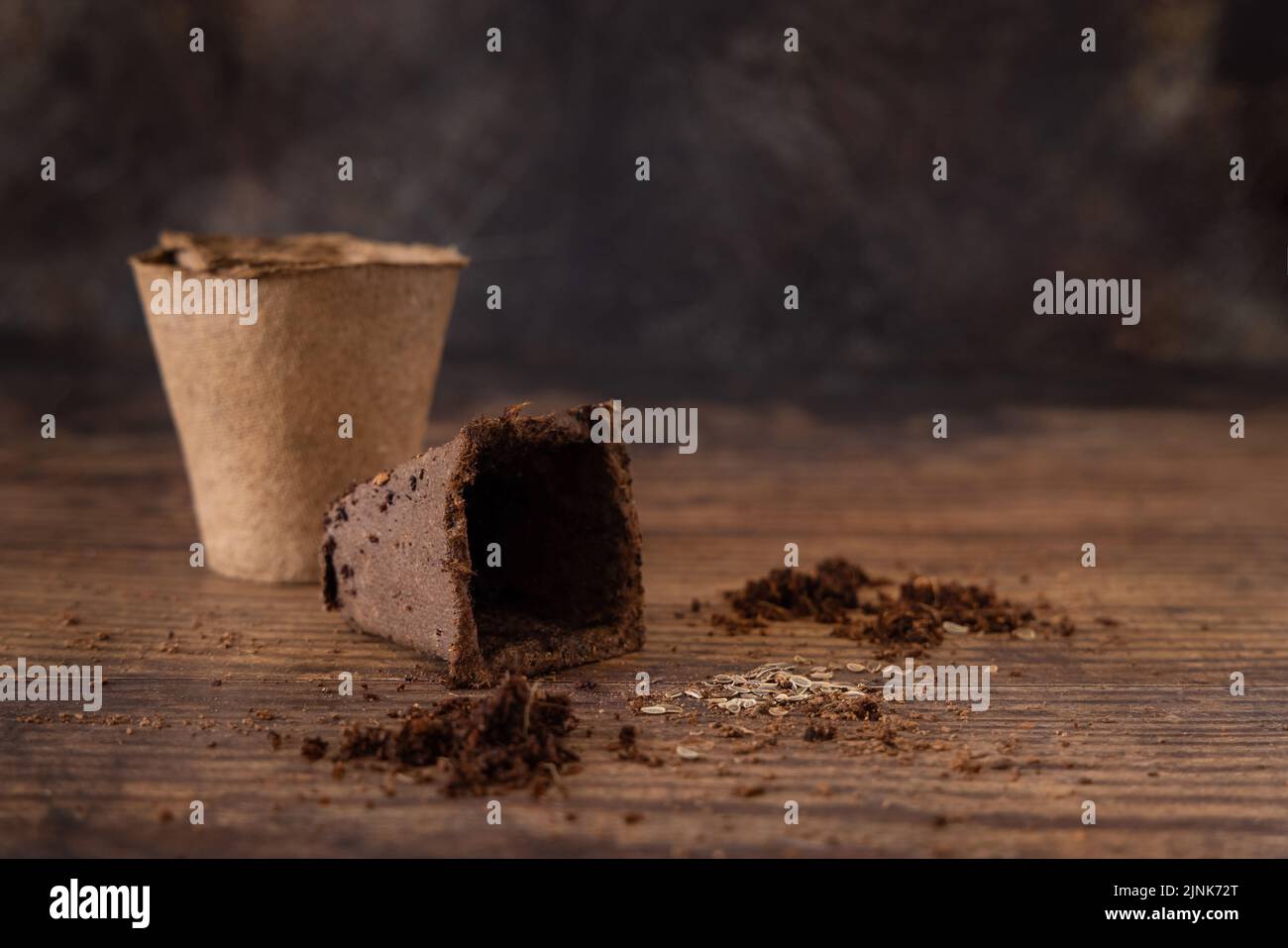 Biodegradable pots hi-res stock photography and images - Alamy
