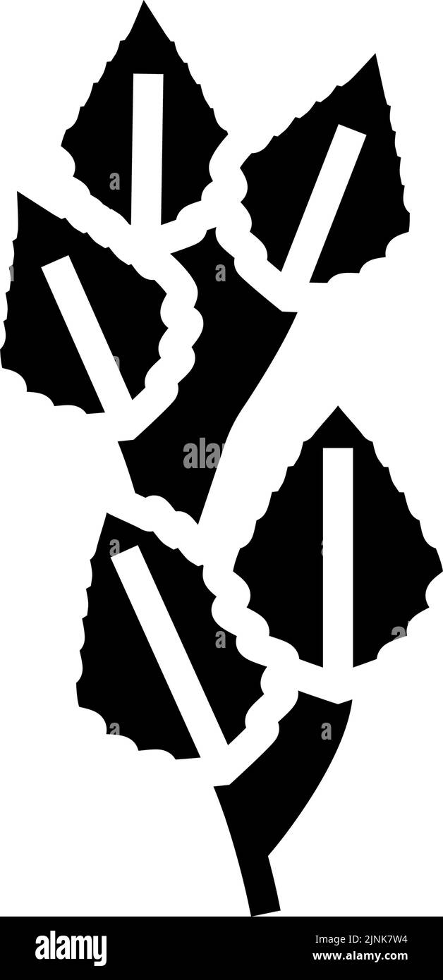 birch leaf glyph icon vector illustration Stock Vector Image & Art - Alamy