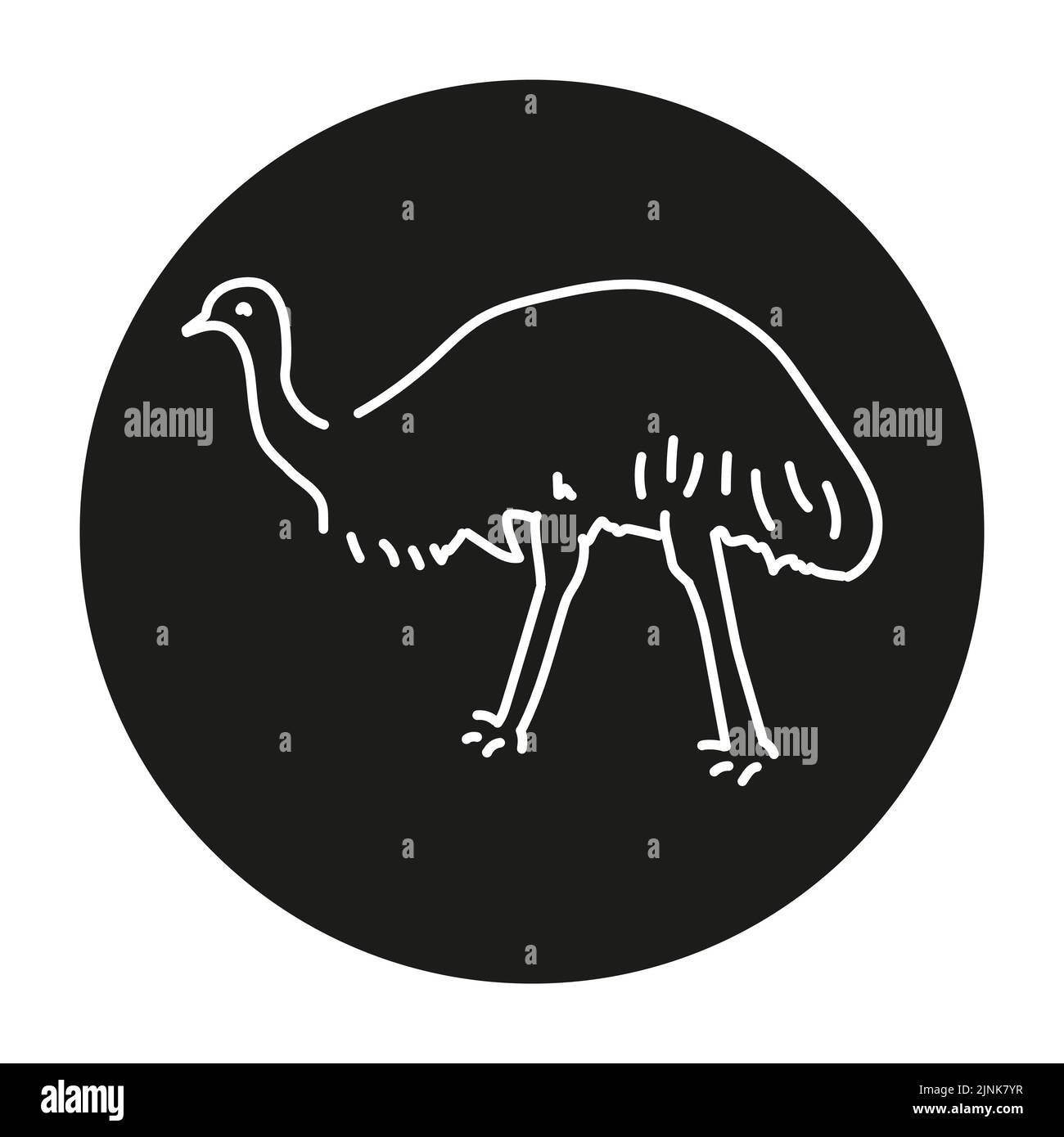 Australian ostrich Emu color line illustration. Animals of Australia ...