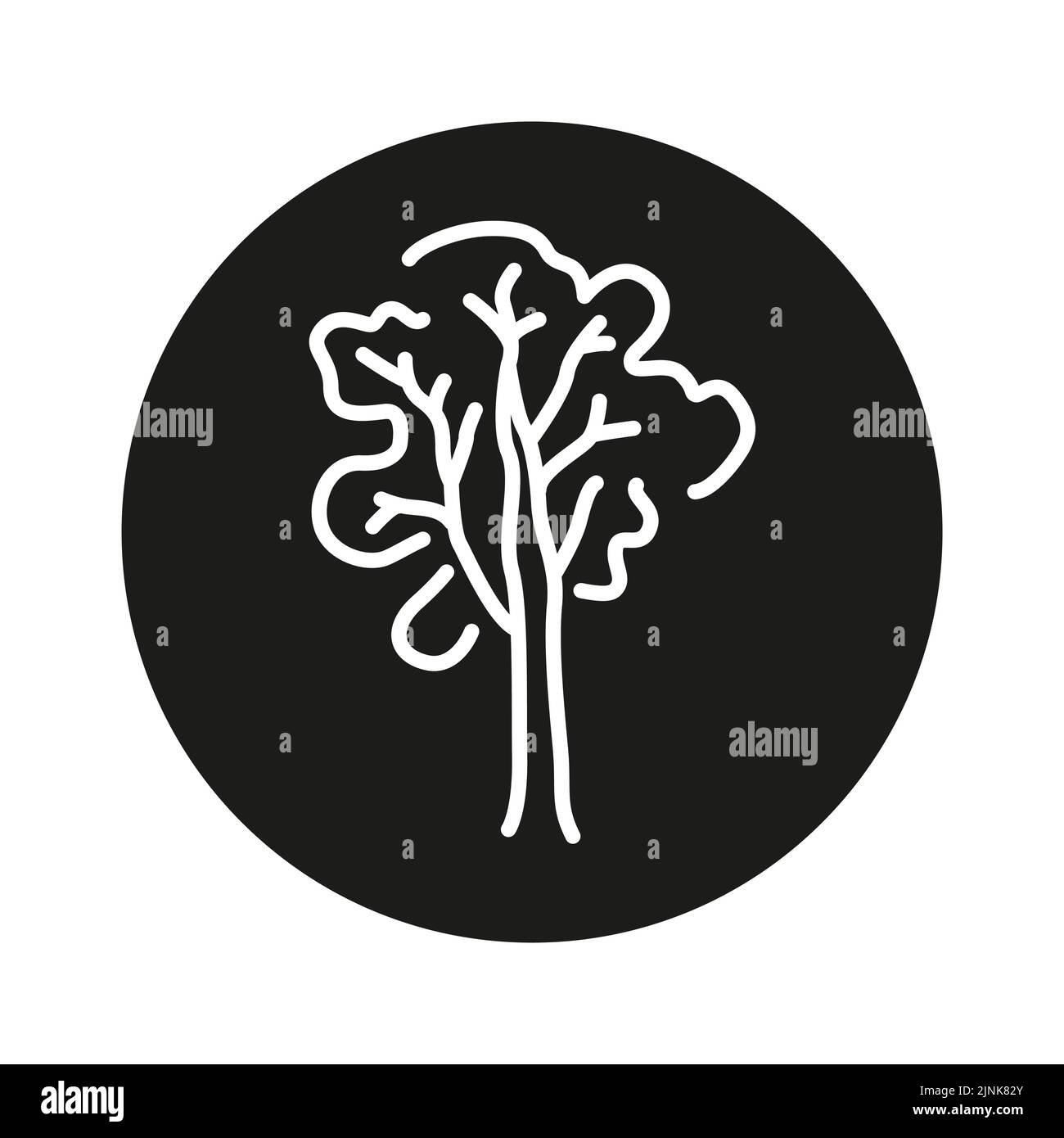 Ash tree color line icon. Pictogram for web page, mobile app, promo ...