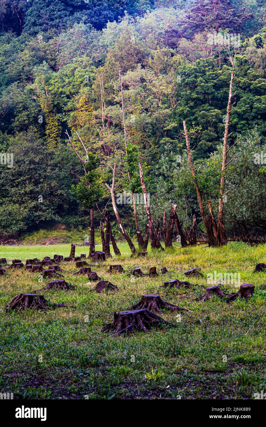 The bohernabreena reservoir hi-res stock photography and images - Alamy